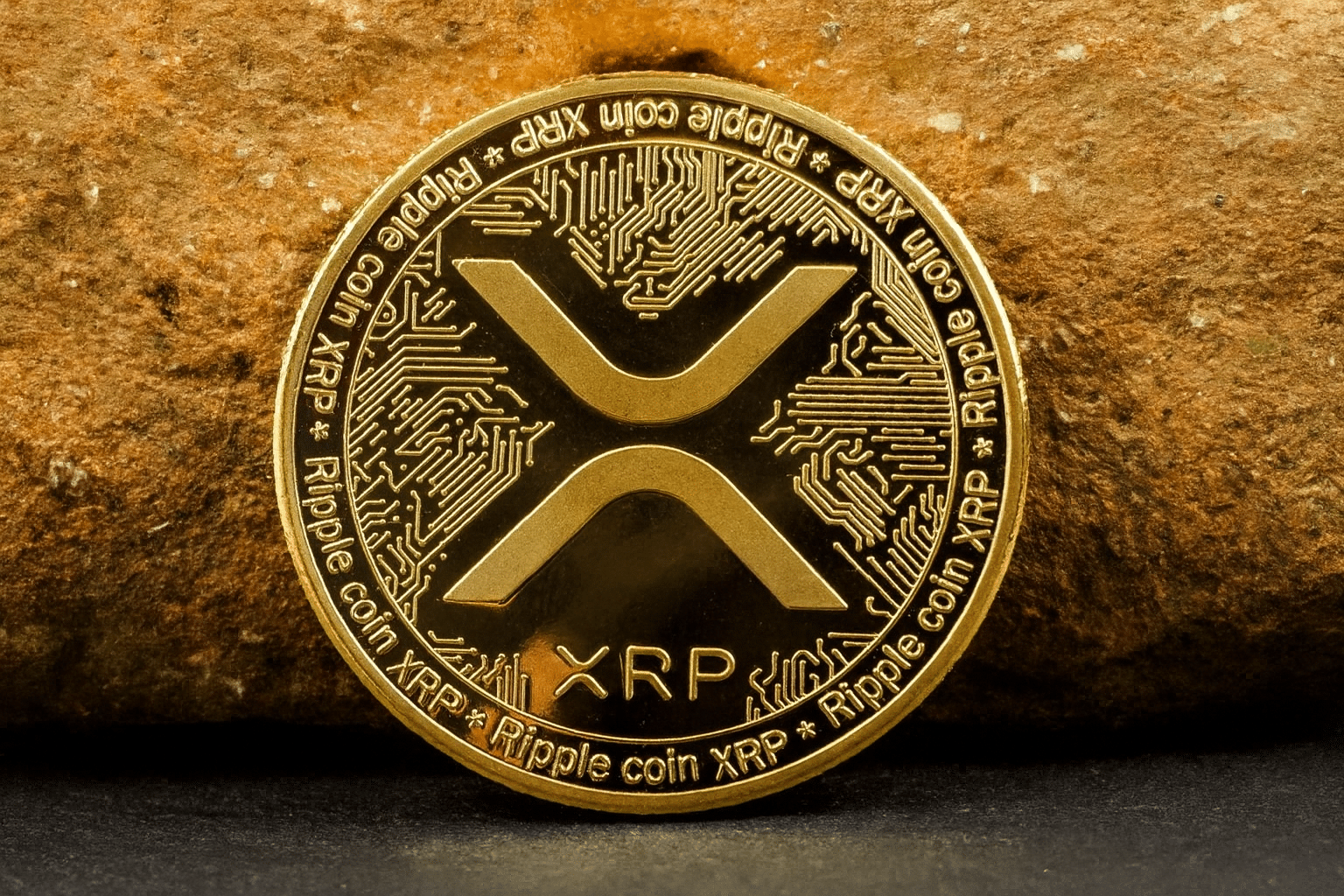 Exploring Blockchair: A Comprehensive Guide