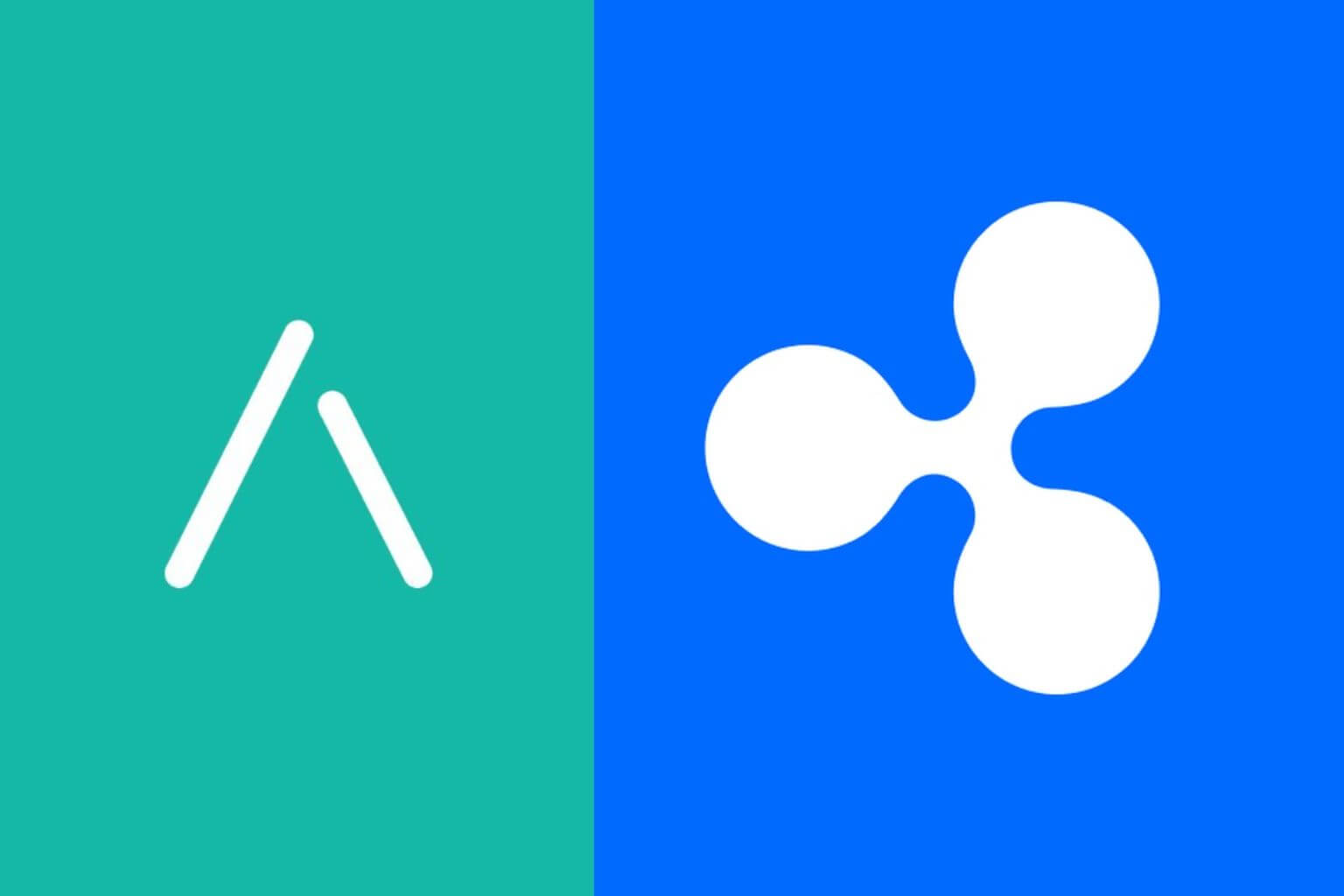 What Is CoinGecko Terminal and How to Use It